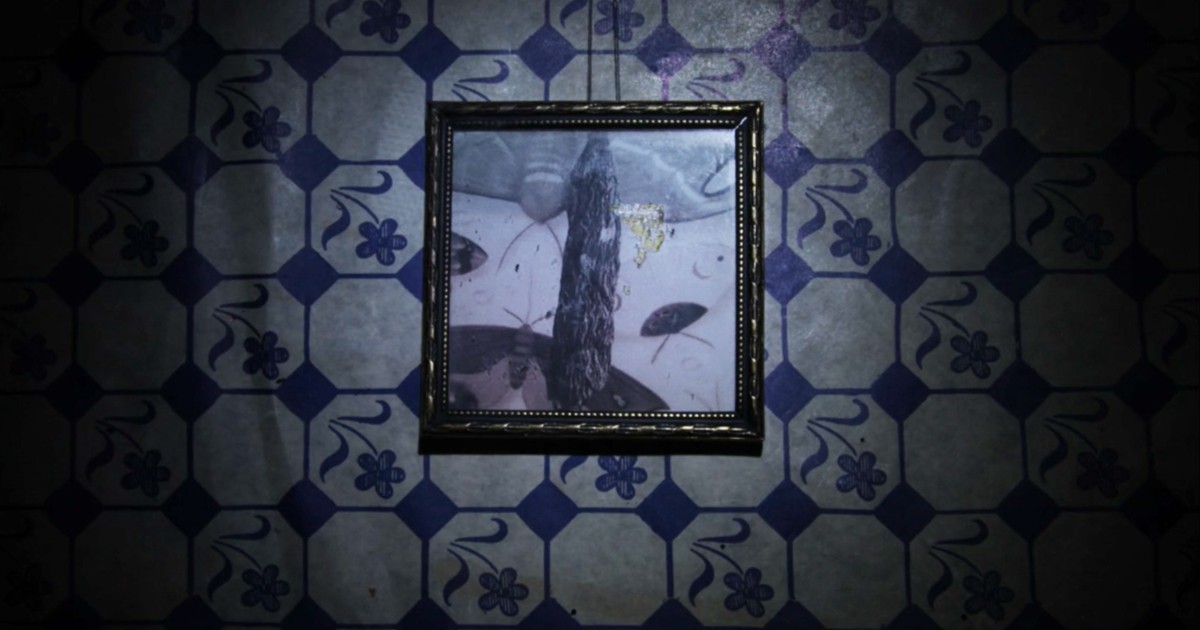 Life of Mr. Beetroot - Filmmagasinet Ekko