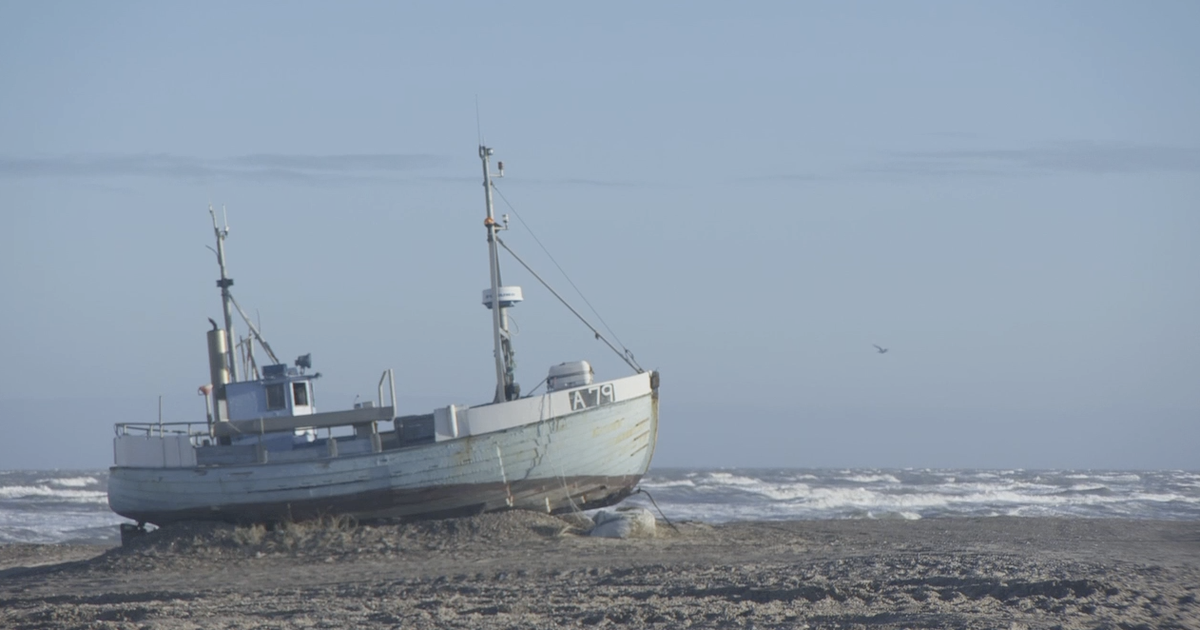 Ved havet - Filmmagasinet Ekko